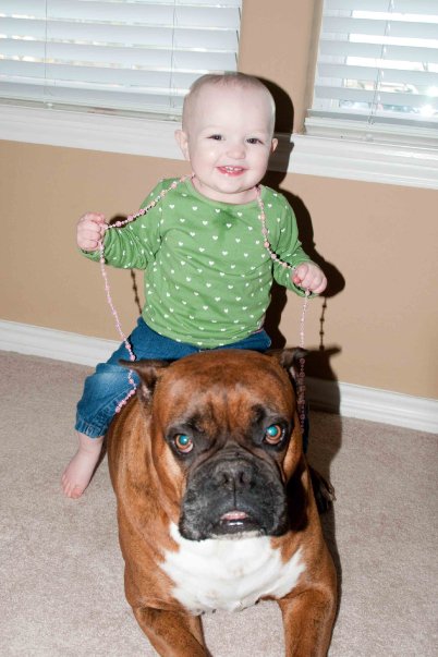 The Sweatman Family: Our Harley Boy