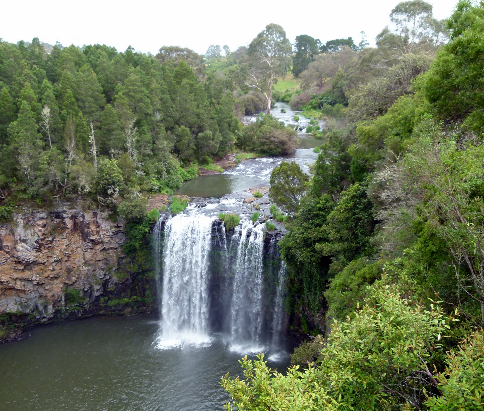 QUEENSLAND BIRDER - Birds and the natural world at home and away ...