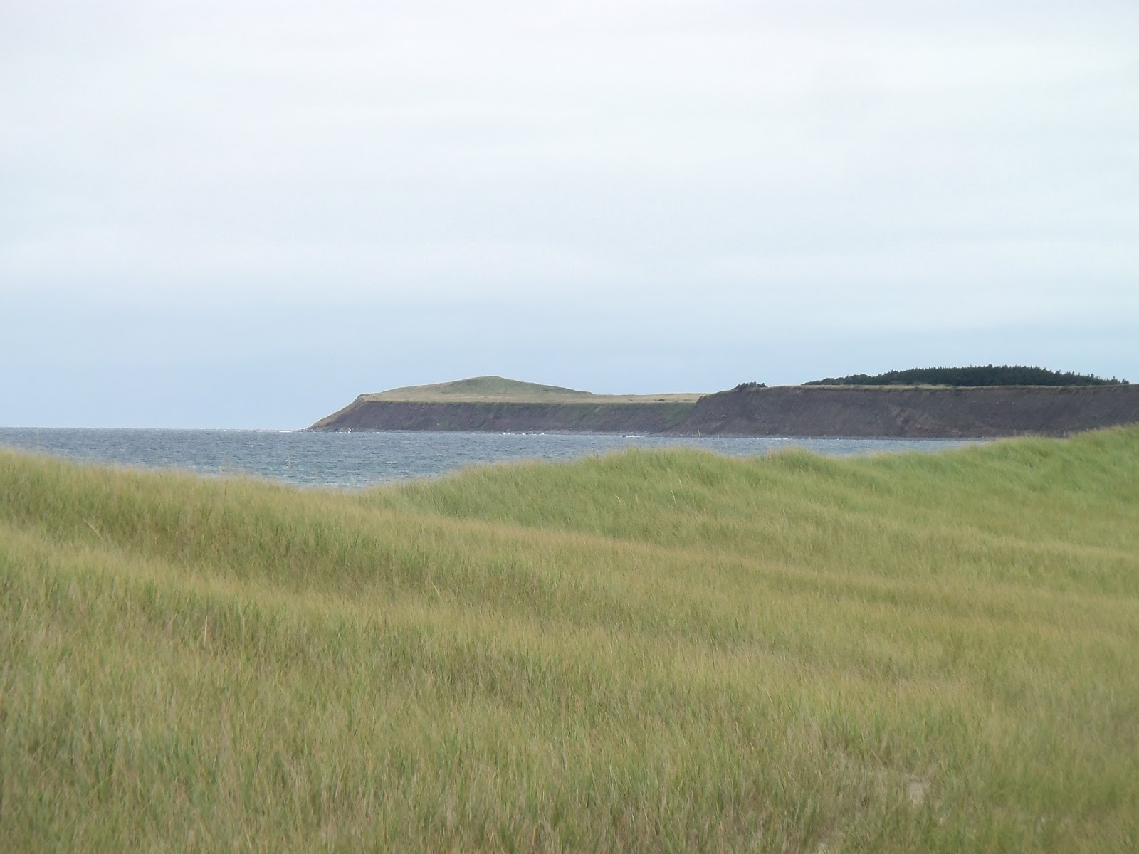 All Accordin': Codroy Valley Estuary and Provincial Park