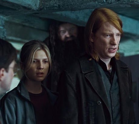 Wizarding World: William Weasley