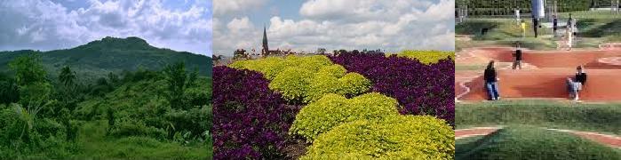 d' avalanche: "All about Leyte"