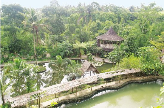 Jelajah Desa Wisata Petingsari - Travelgad.net