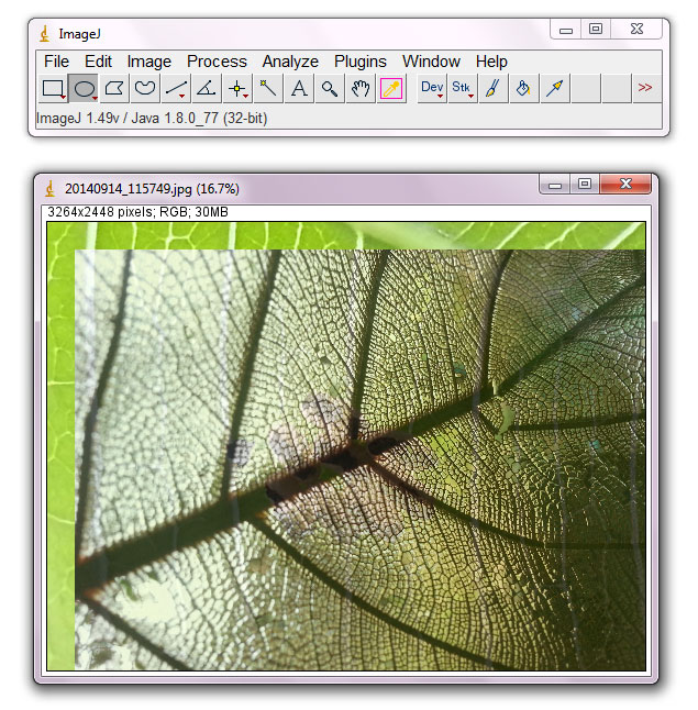 My imageJ: เมนู Image with ImageJ [ตอนที่ 75] Zoom, Show Overlay เครื่องมือการแสดง Overlay