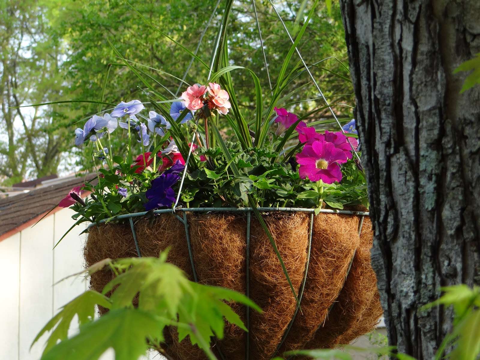 Prinked Projects and Pretty Things: Garden Beginnings