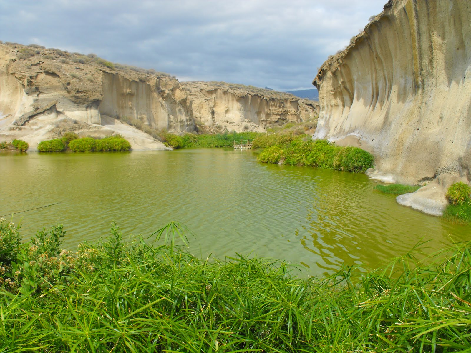 Dácil: Reserva Ambiental San Blas.