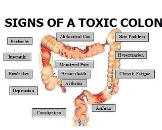 New Health Path: The Average Person Has 20 Pounds Of Toxic Waste In ...