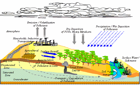 Mr. Gantt's Earth Science Lab Blog: 5th Grade-Week 4 Water Cycle