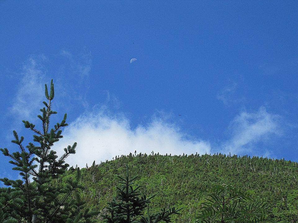 Outdoor Diversion: Hot and Humid Day on Wildcat A