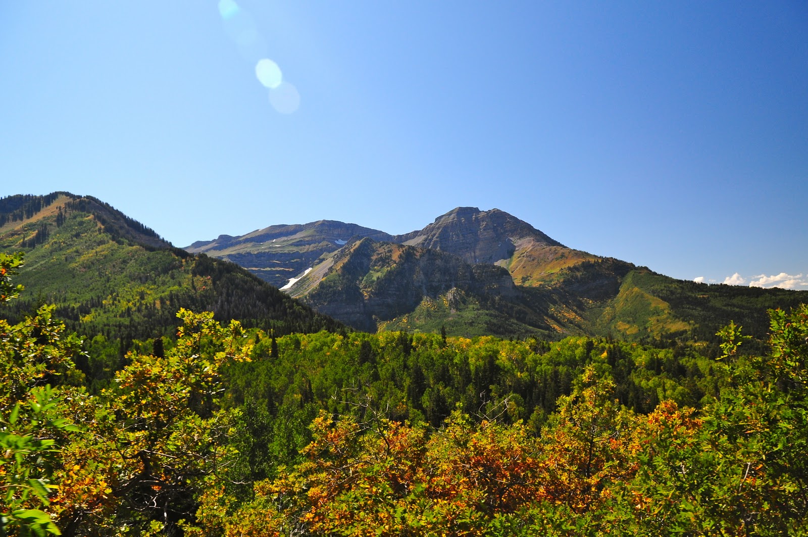 Hiking Utah: Alpine Loop and Cascade Springs Interpretive Trail