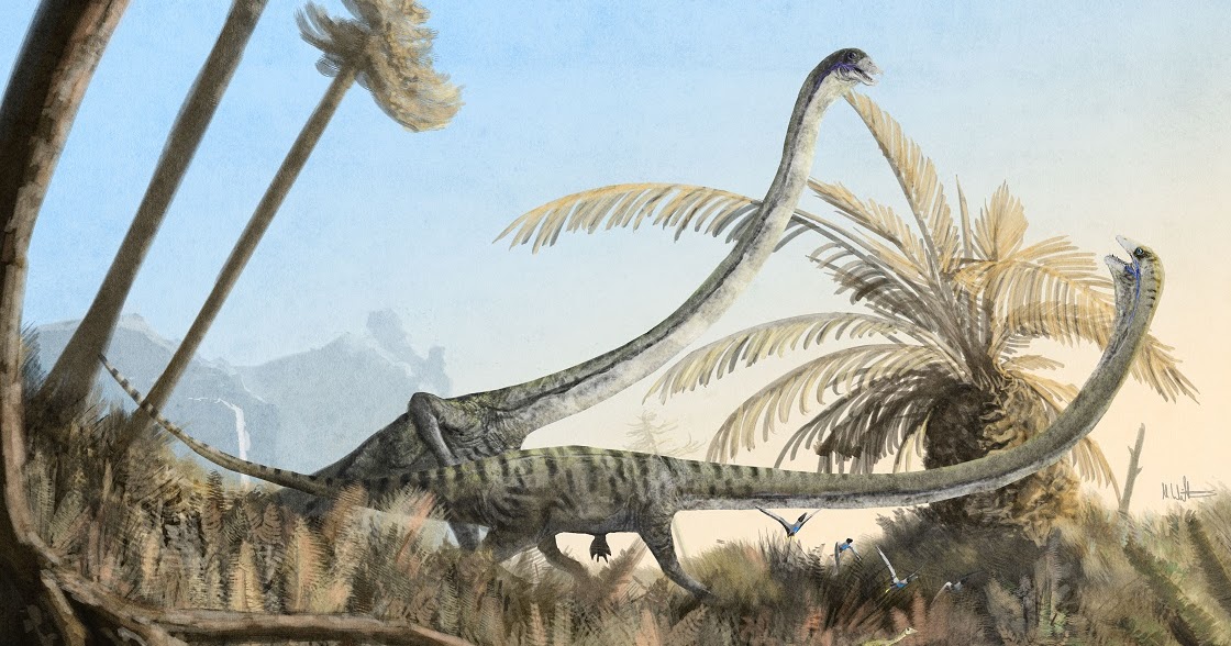 Mark P. Witton's Blog: The lifestyle of Tanystropheus, part 1: was that ...