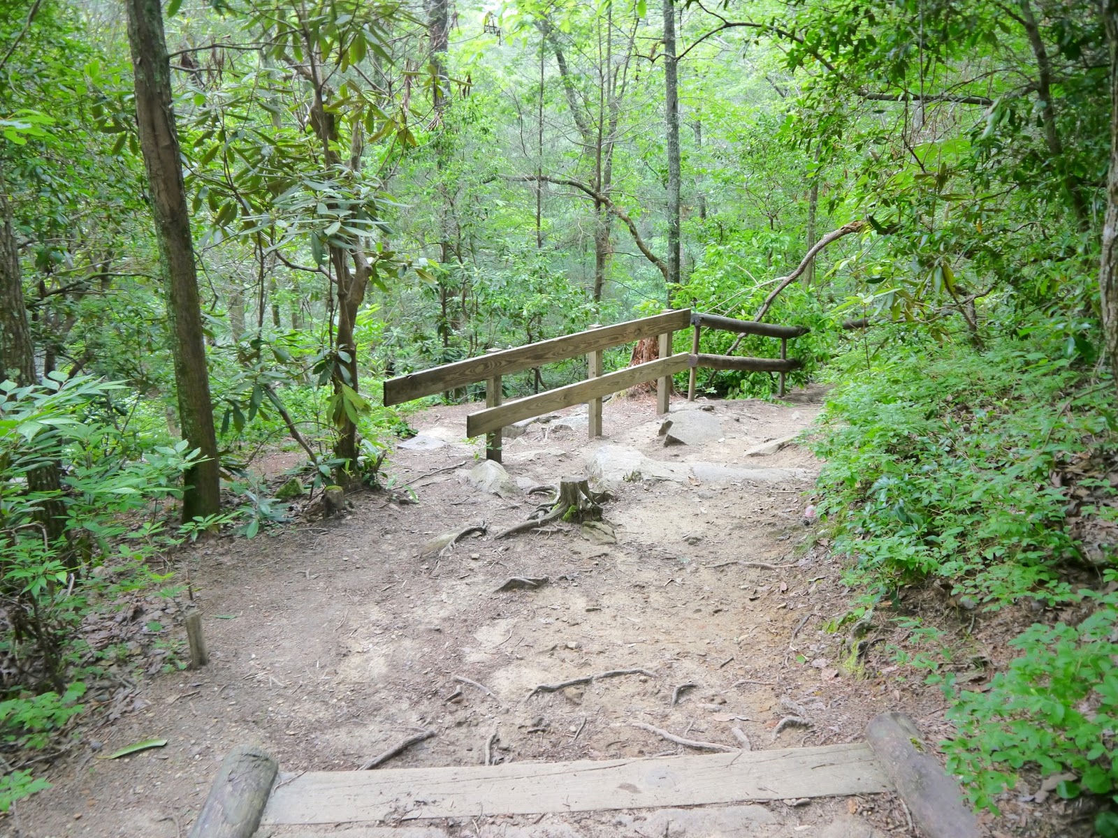 American Travel Journal: Benton Falls - Cherokee National Forest