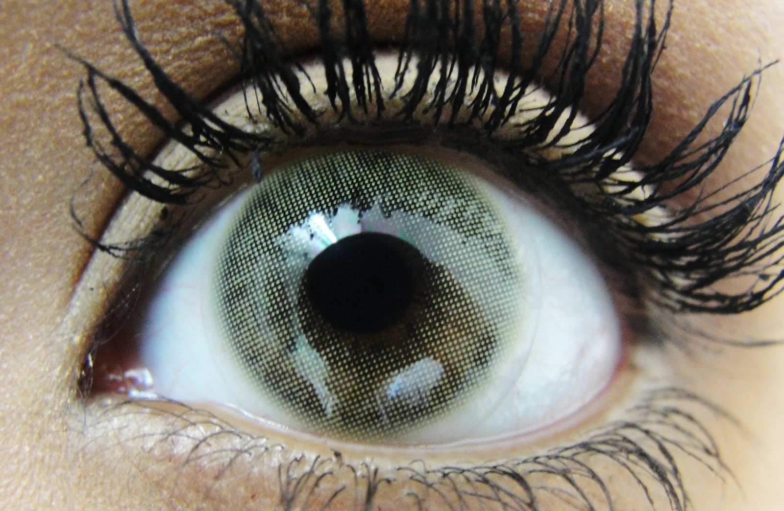 VALHALLA BEE: Solotica Hidrocor Mel Review