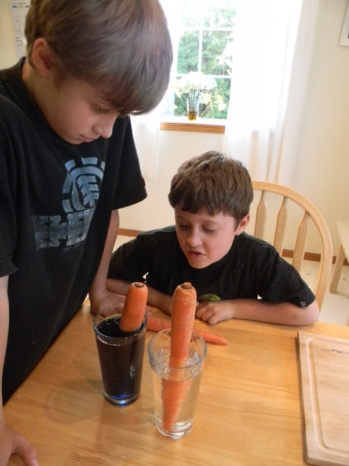 The Pellerin Family: From the Desks of Isaiah, Elijah and Hannah Cells ...