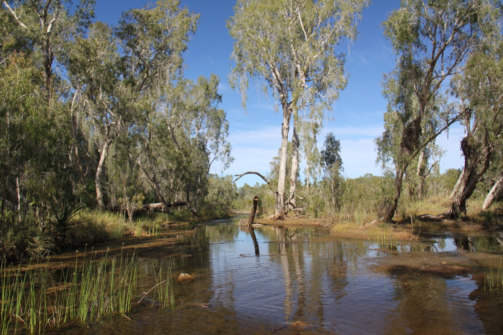 ARMSTRONGS ADVENTURES: Roper Bar NT (Tomato Island)
