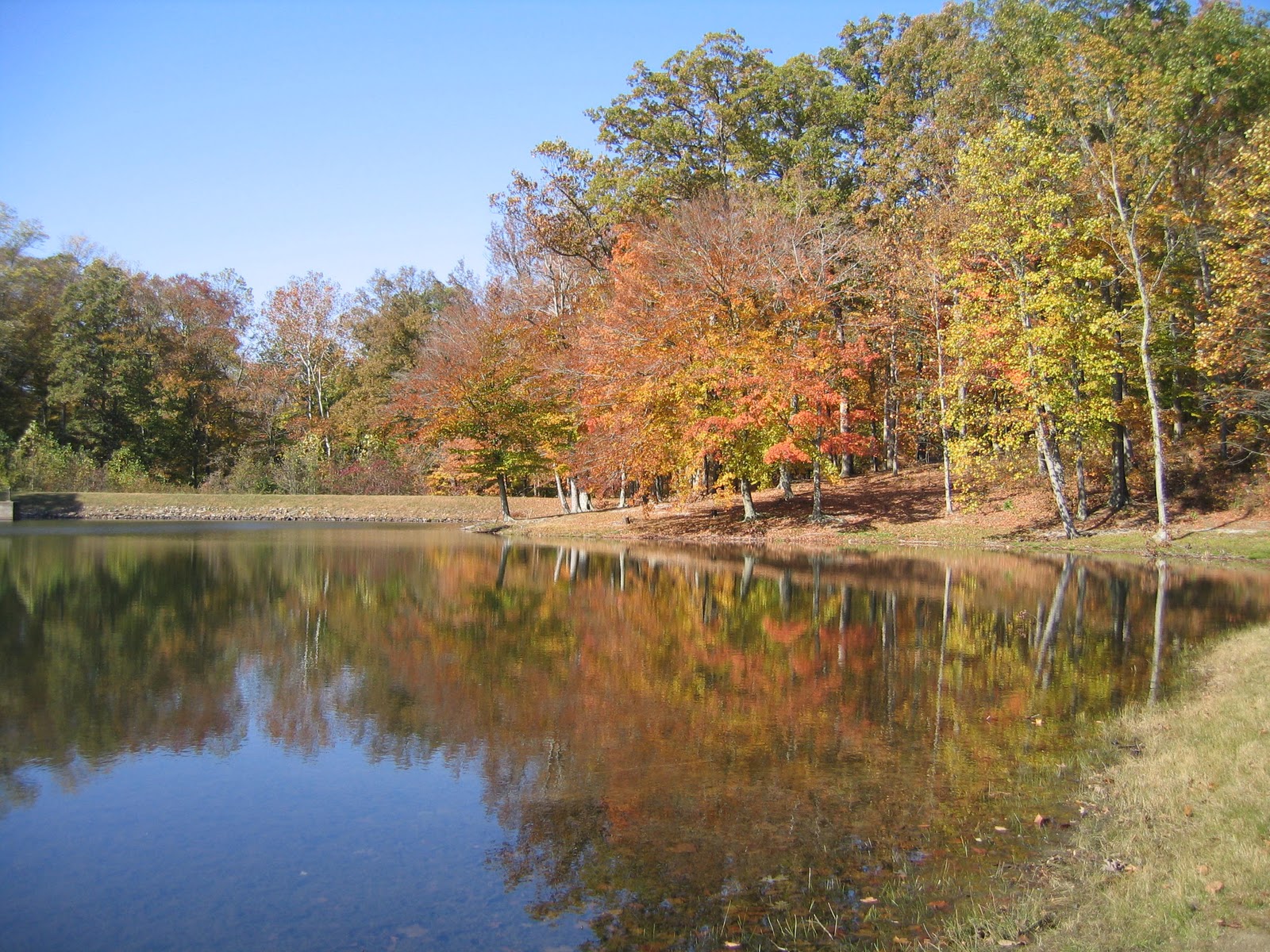 Explore! Southern Indiana: A Walk in the Woods: German Ridge Trail