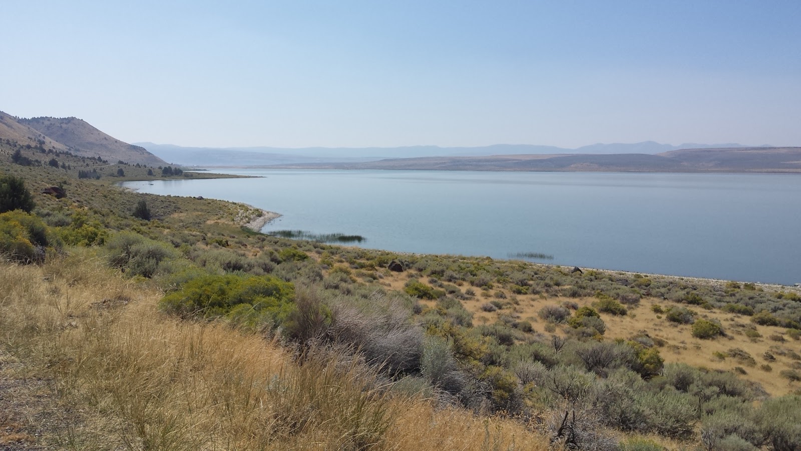 Shelly's Firecamp Adventures: 3 Fires in One and Some Sightseeing