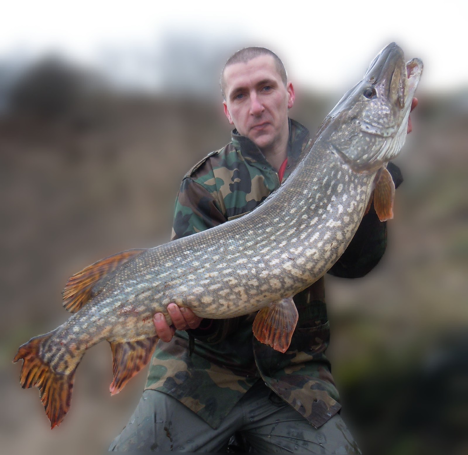 River Piker: Savage Gear Real Eel review