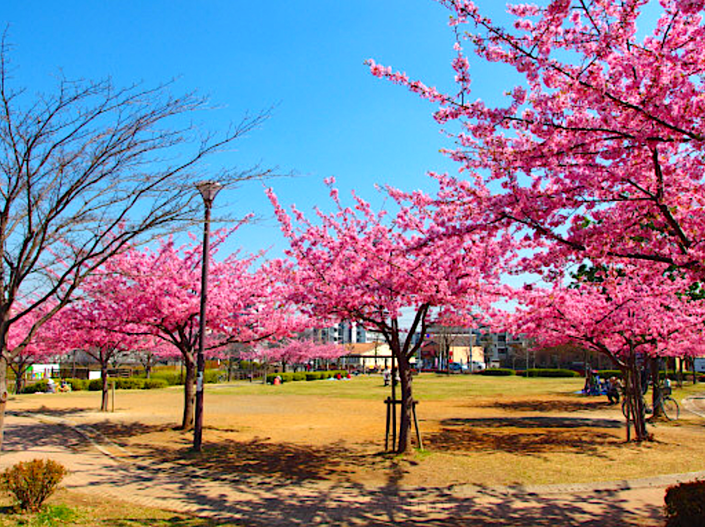 Daito Learning Pages: Places & Traces