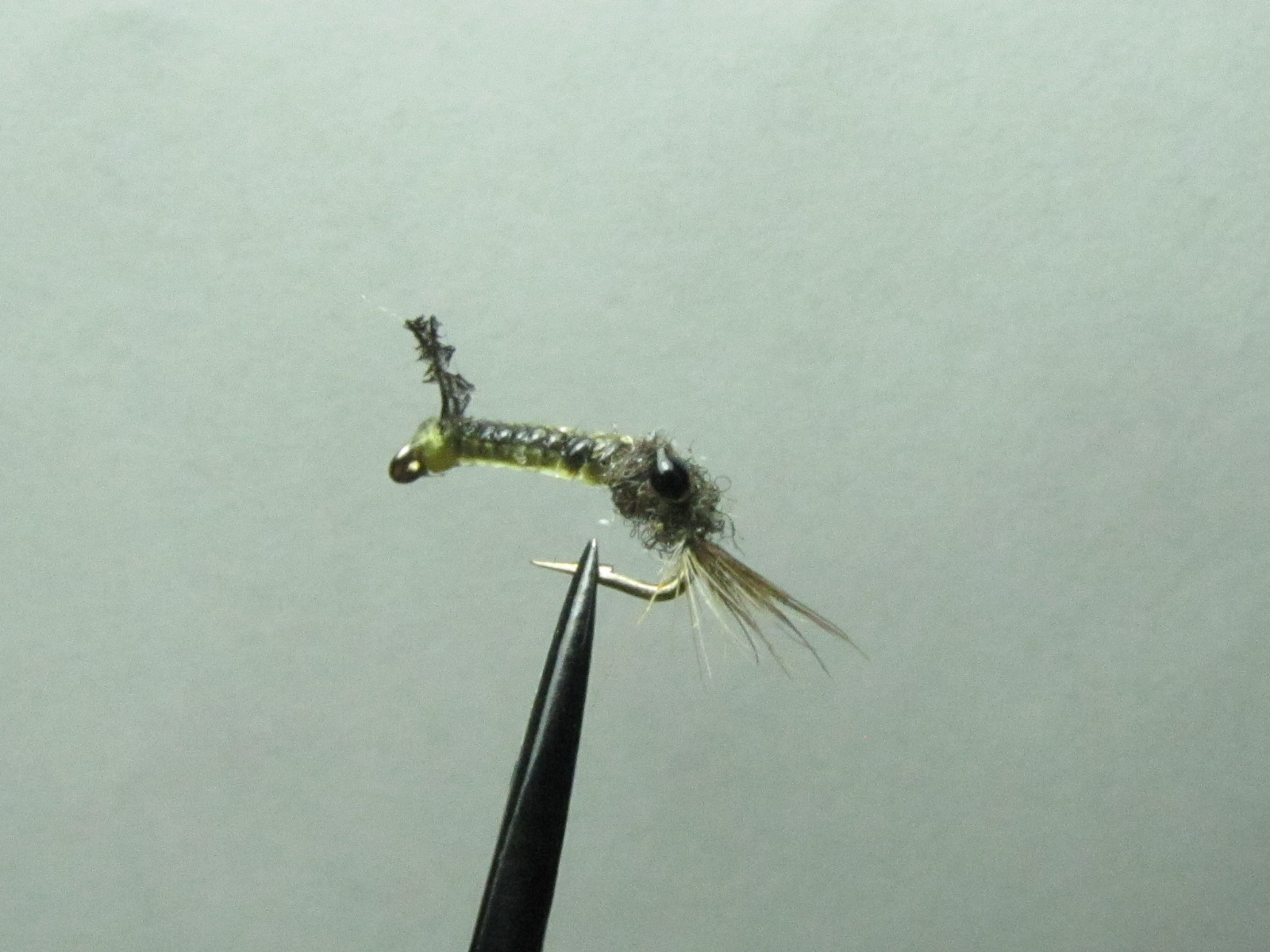 A Creative Fly Tying Blog.: August 2012