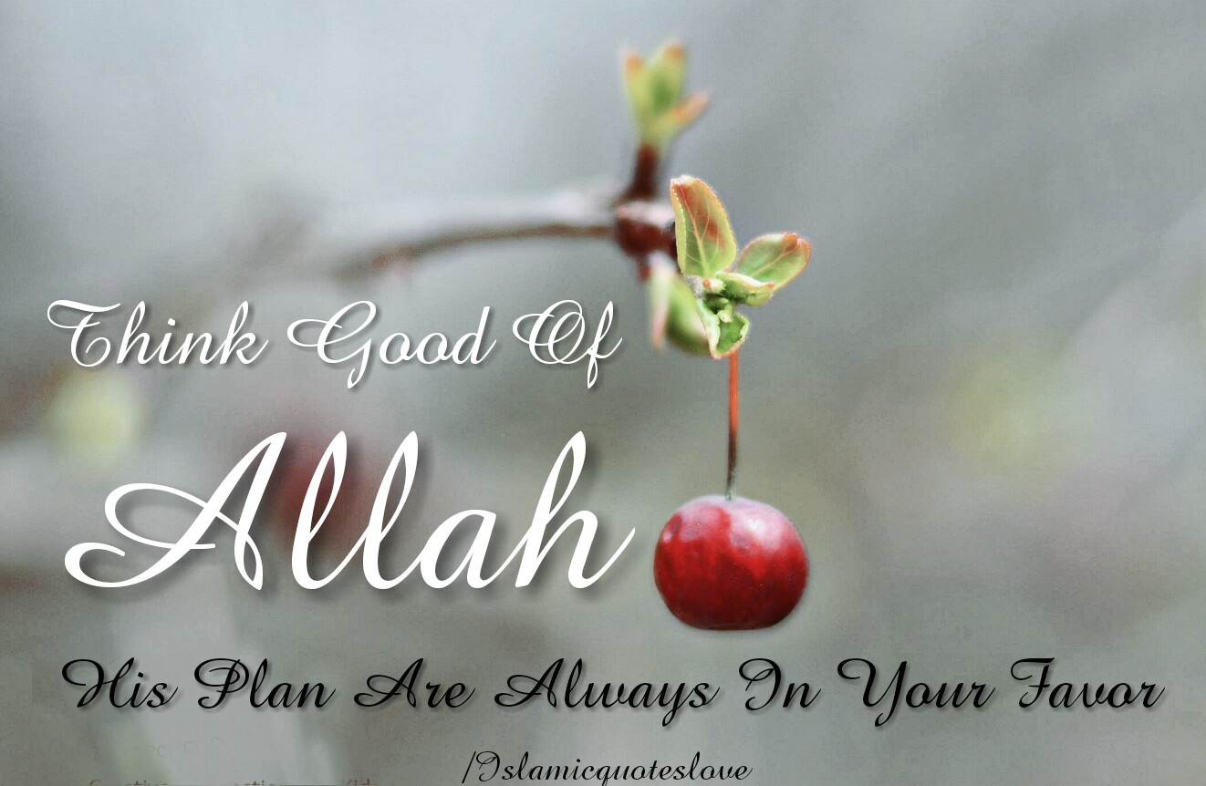 Islamic Quote: Think good of ALLAH his plan are always in your favor.