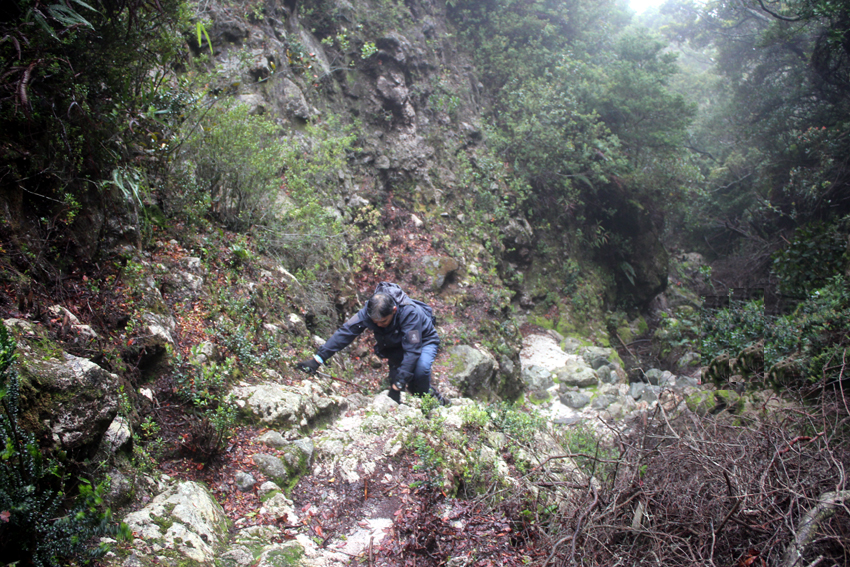 A Journey of First-Time Mountaineers; Conquering Mt. Apo and Mt. Talomo