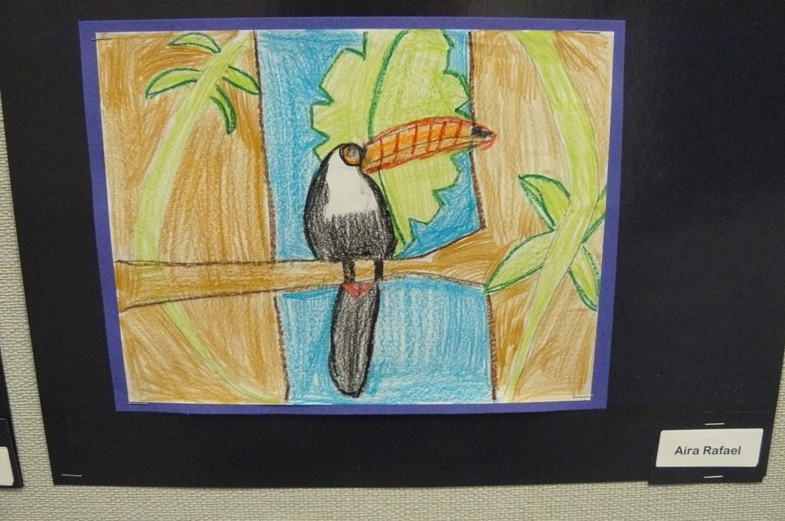 Learning in Room 206: Toucan Directed Drawings
