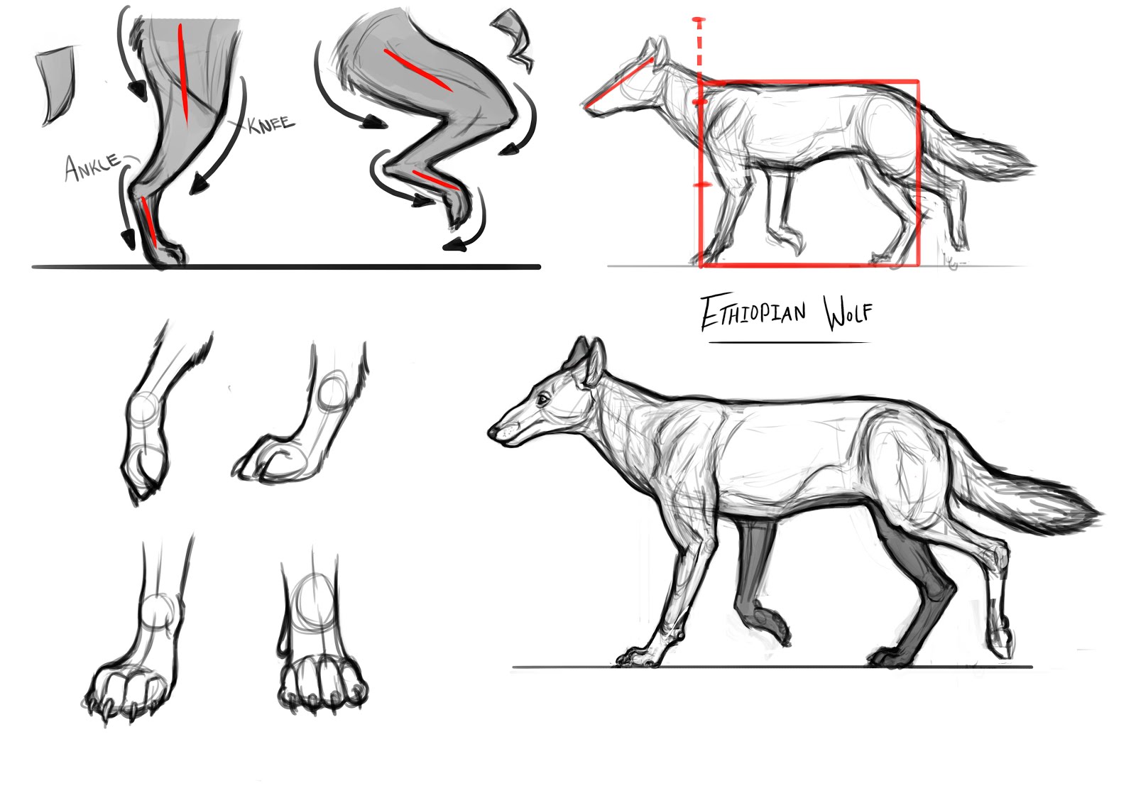 jade robertson animation college daily blogs