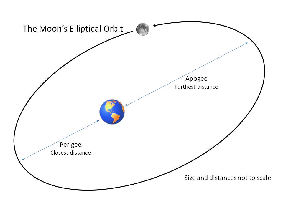 SCOB - Science Centre OBservatory: November Night Sky