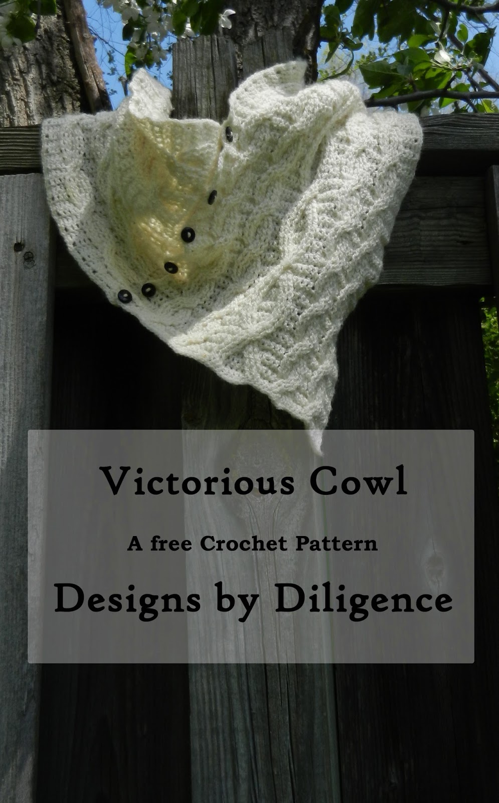 Designs by Diligence: Victorious Cowl