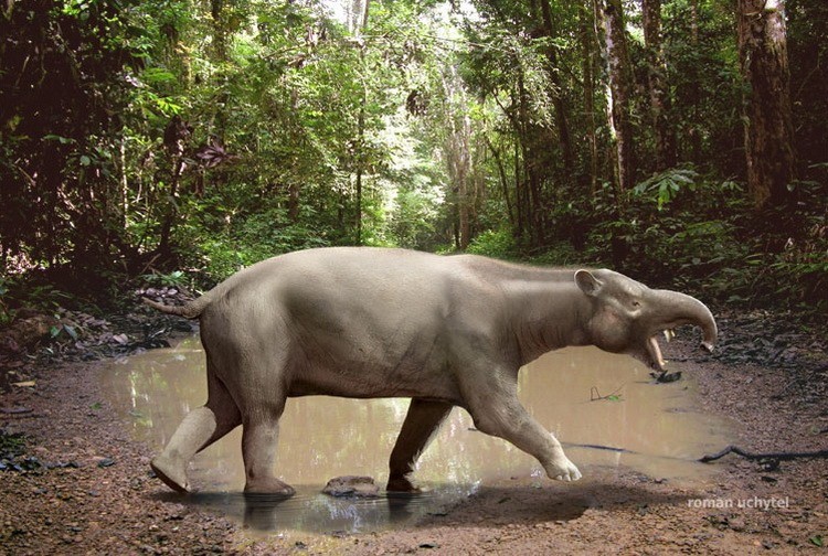 Noticias de Paleontologia: Astrapotherium magnum, la bestia del rayo en ...