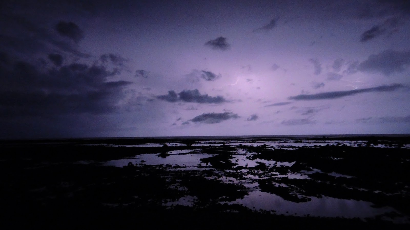 Lost in the Jungle: A stormy night and a clear night at the beach