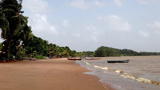 Tina in Suriname: Galibi – de loslopende dierentuin