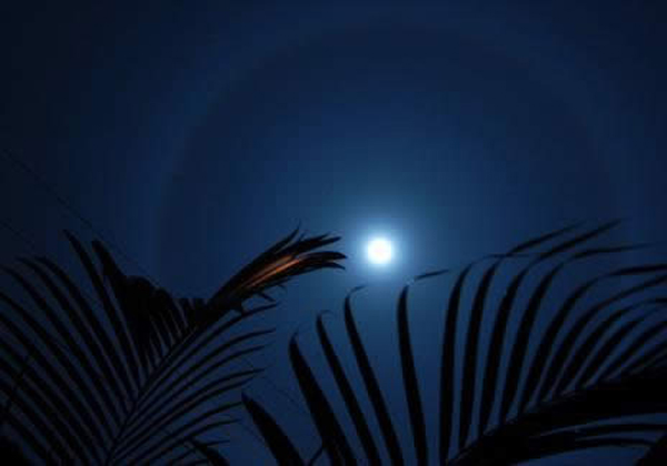 best photos 2 share: 8 Most Impressive Amateur Moon Photographs