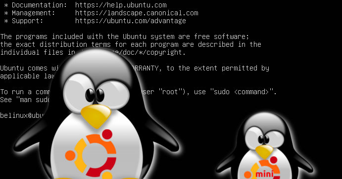 Ubuntu Linux: Instalación de Ubuntu Minimal en una máquina virtual con ...