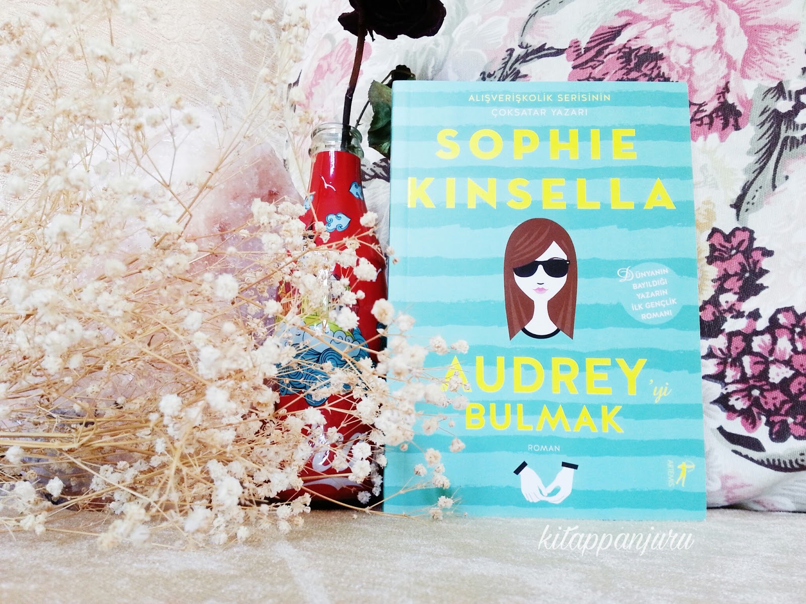 Kitap Yorumu | Audrey'yi Bulmak - Sophie Kinsella - theory of everything