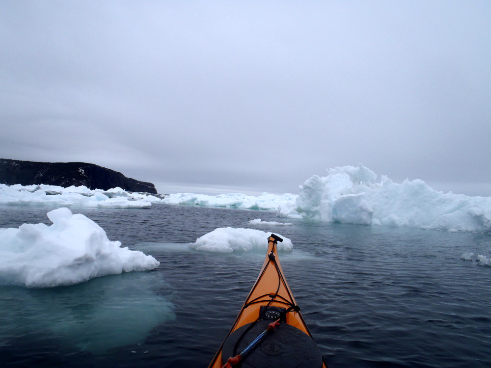 My Newfoundland Kayak Experience: Pack ice paddle