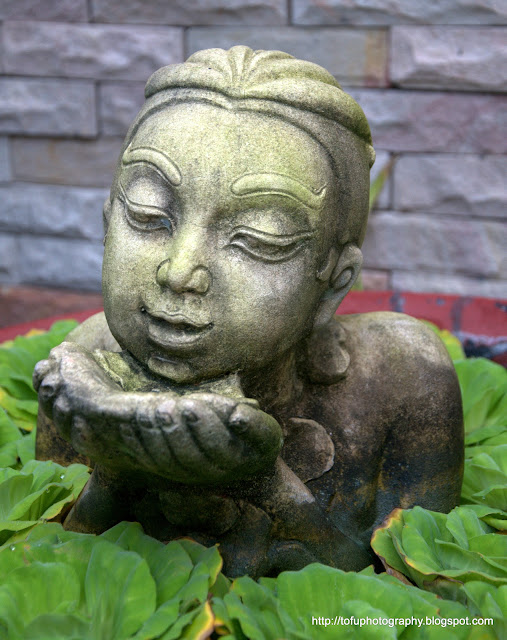 Tofu Photography: Pretty statue