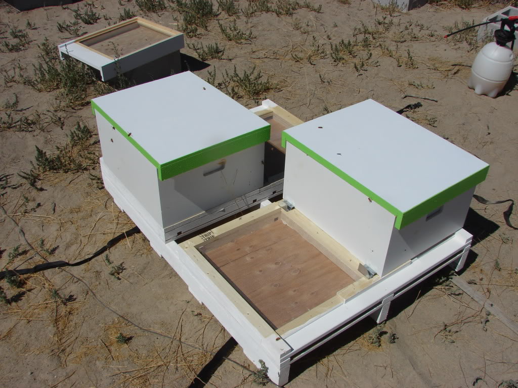 DC Honeybees: Commercial Migratory Pallet Design