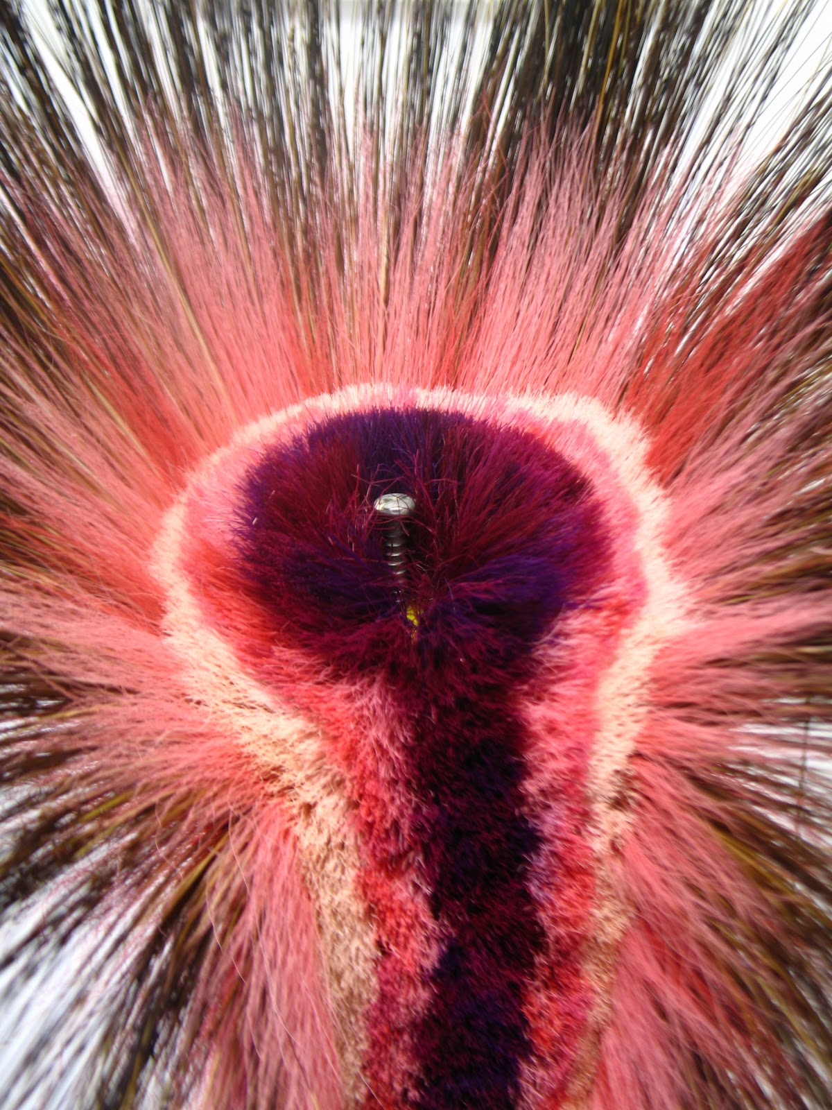 R & L Roaches: A Recent Hair Base Roach (Commissioned by Darry Wood)