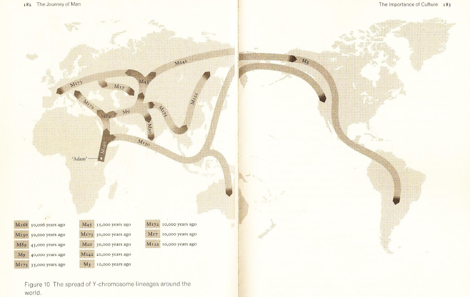 Is It Possible?: ISSUE 2 (Part 1): WHEN DID THE FIRST HUMAN LIVE?