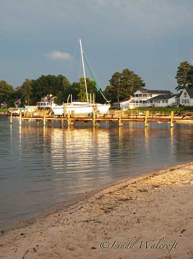 The View from Squirrel Ridge: Afternoon in Glebe Harbor