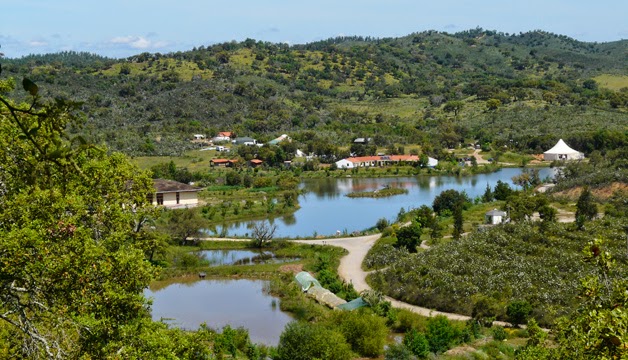 Axel Ewald - recent projects, discoveries & reflections