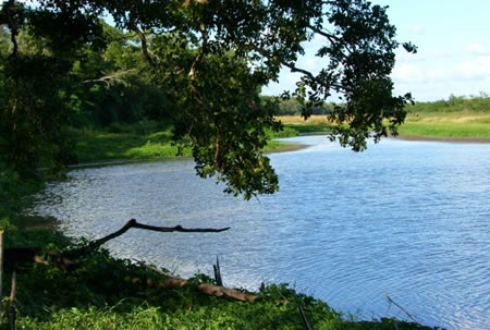 Escenario General de Sustentabilidad TICS ITSOEH