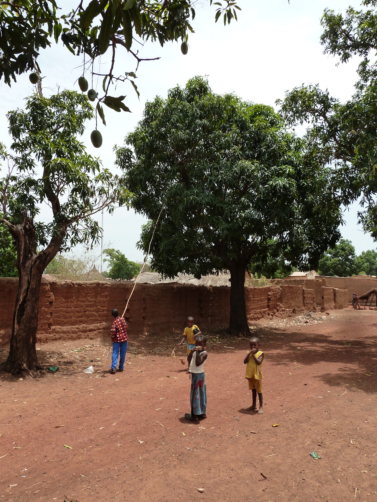 Cass and Carolyn in the Peace Corps: Chapter 8: Malian Inventions We Love!
