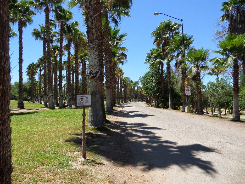 EL PARQUE MORELOS DE TIJUANA.... MUY VISITADO ESTOS DÍAS DE CALOR