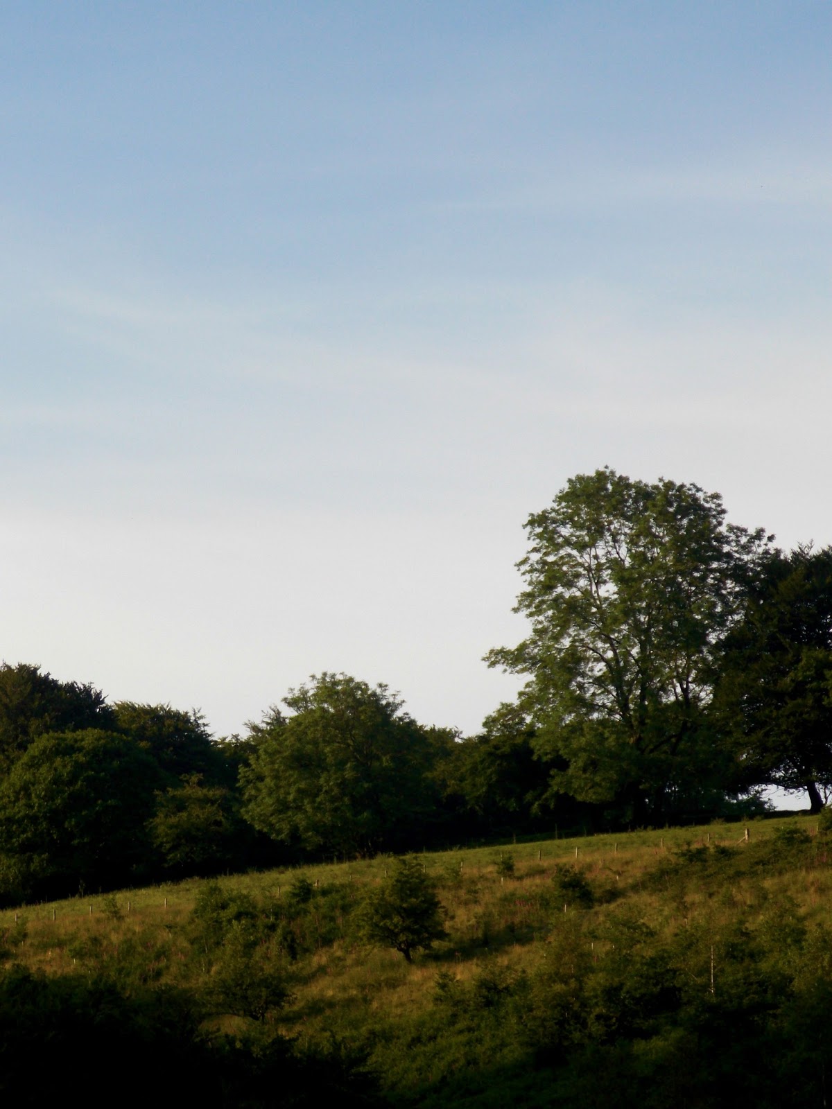 . A simple enigma.: Making a winberry pie.