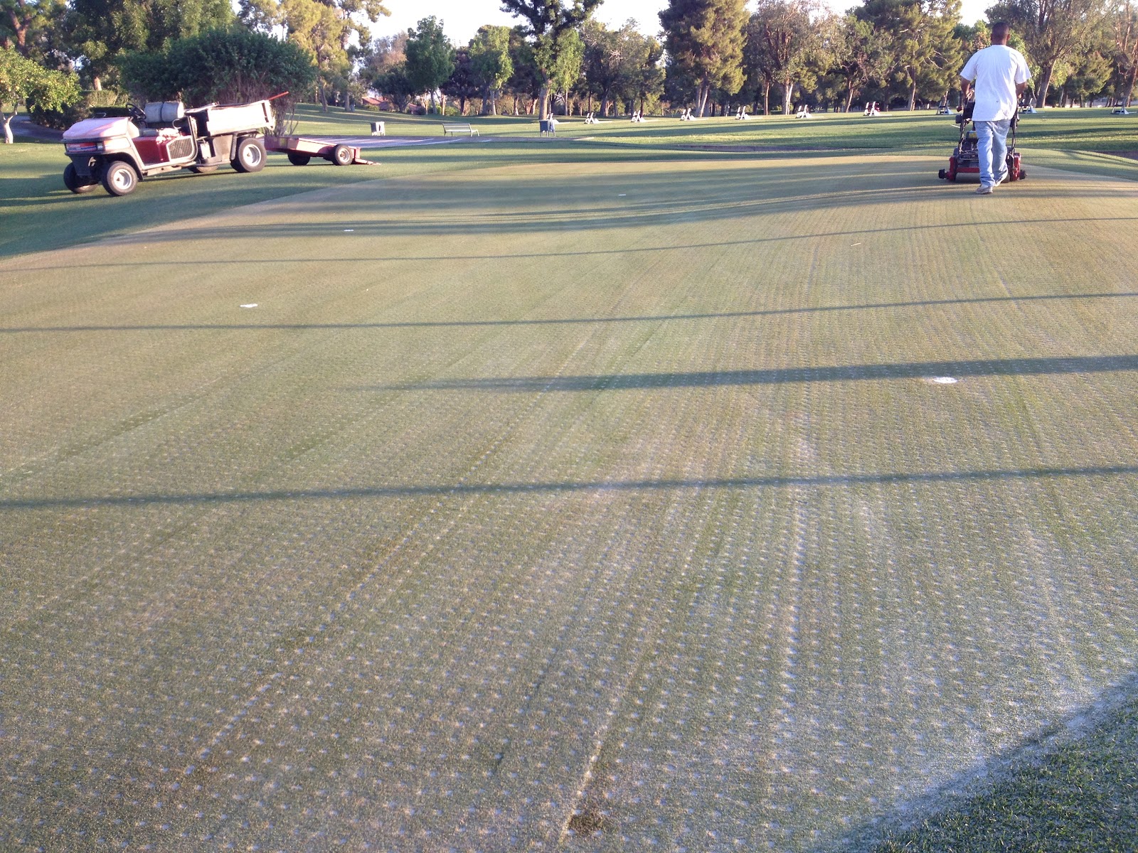 Avondale Golf Course Maintenance Updates: Chipping Green Aerifications ...