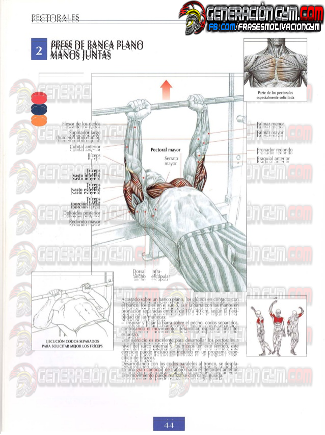 PECHO - GENERACIÓN GYM