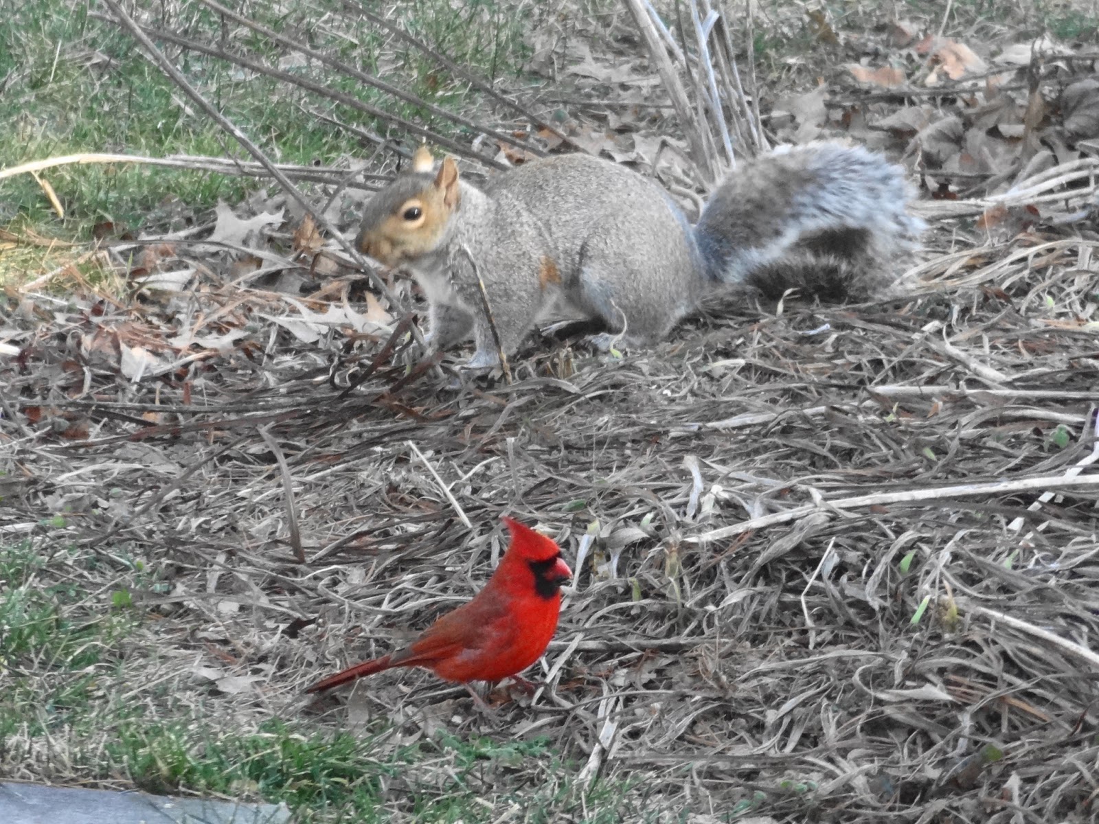 Live and Learn-Toss and Turn: 01/01/2013 - 02/01/2013