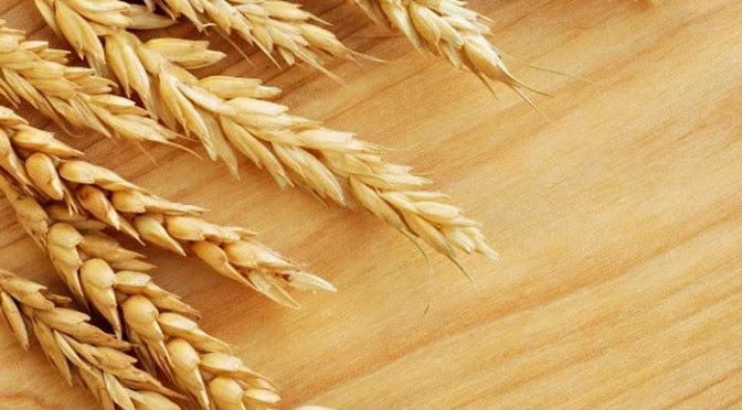 Diario Virtual Luiseeses Experto en estadisticas deportivas en general ...